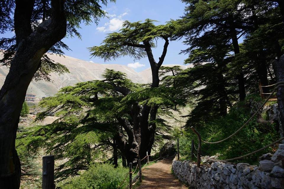 Hiking at Arez Al Barouk - Sport - SOBEIRUT
