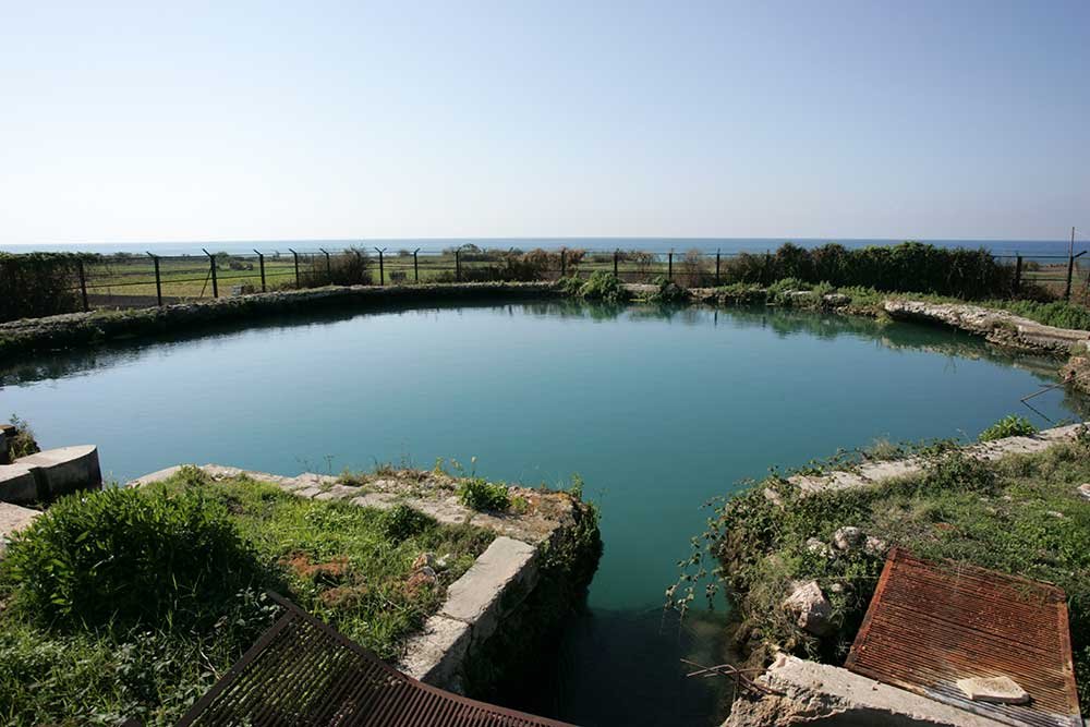 Tyre Coast Nature Reserve - Tyre - Sport - SOBEIRUT