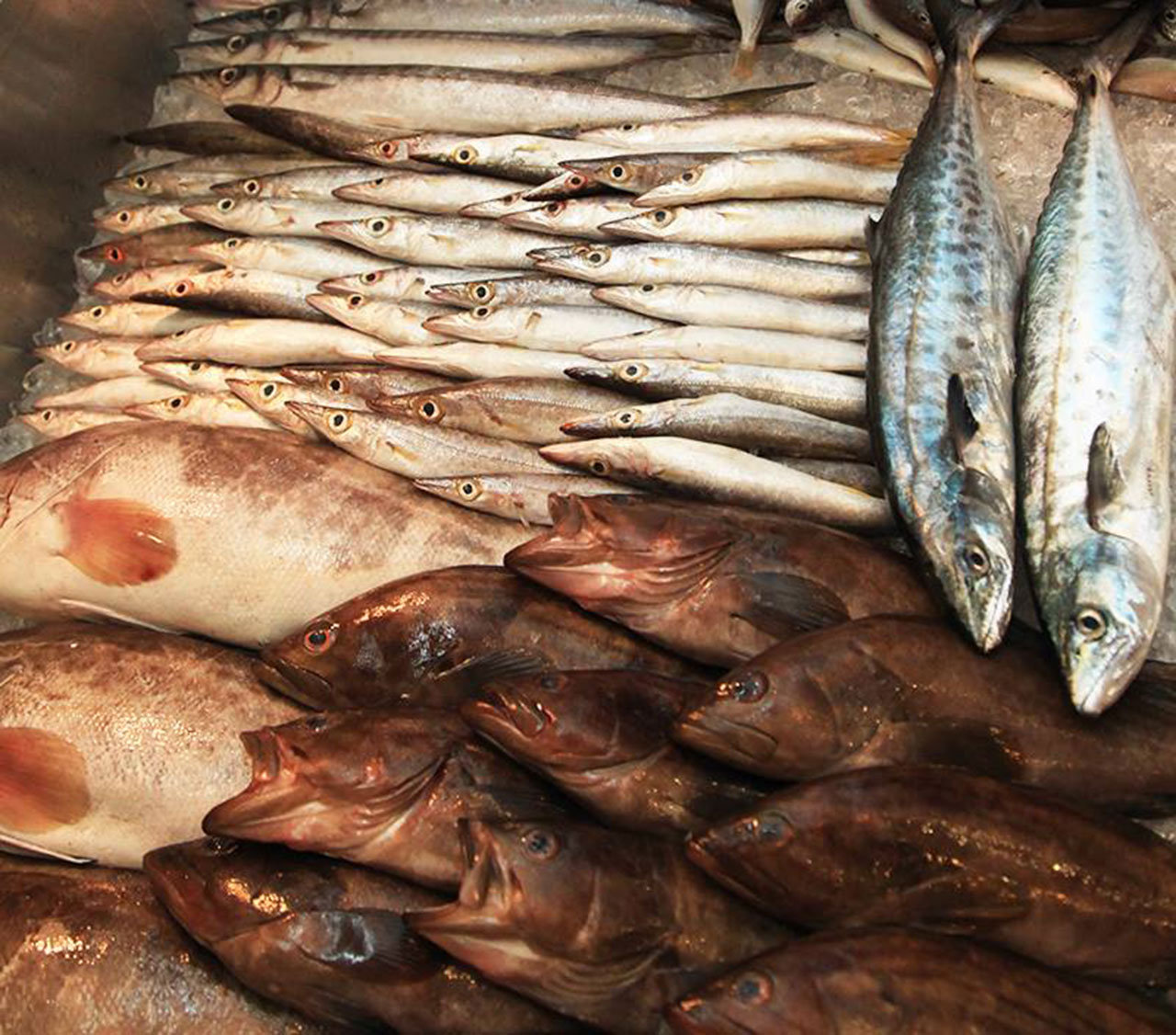 Samakati - Mar Mikhael - Food - SOBEIRUT