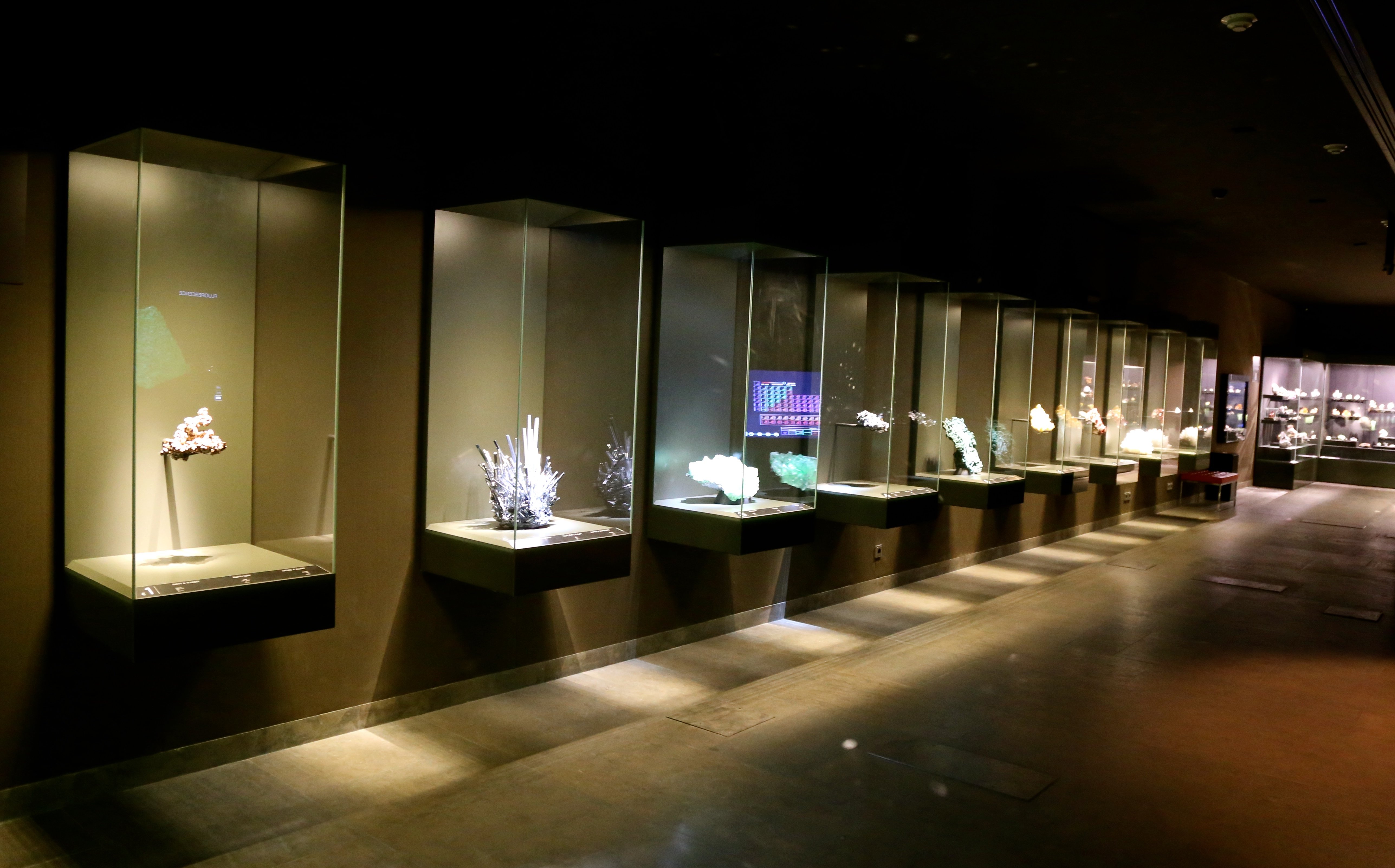 MIM Museum: A Global Hub For Musical Heritage And Cultural Treasures