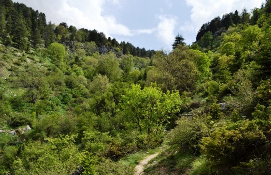 Ehden Nature Reserve - Ashrafieh - Sport - SOBEIRUT