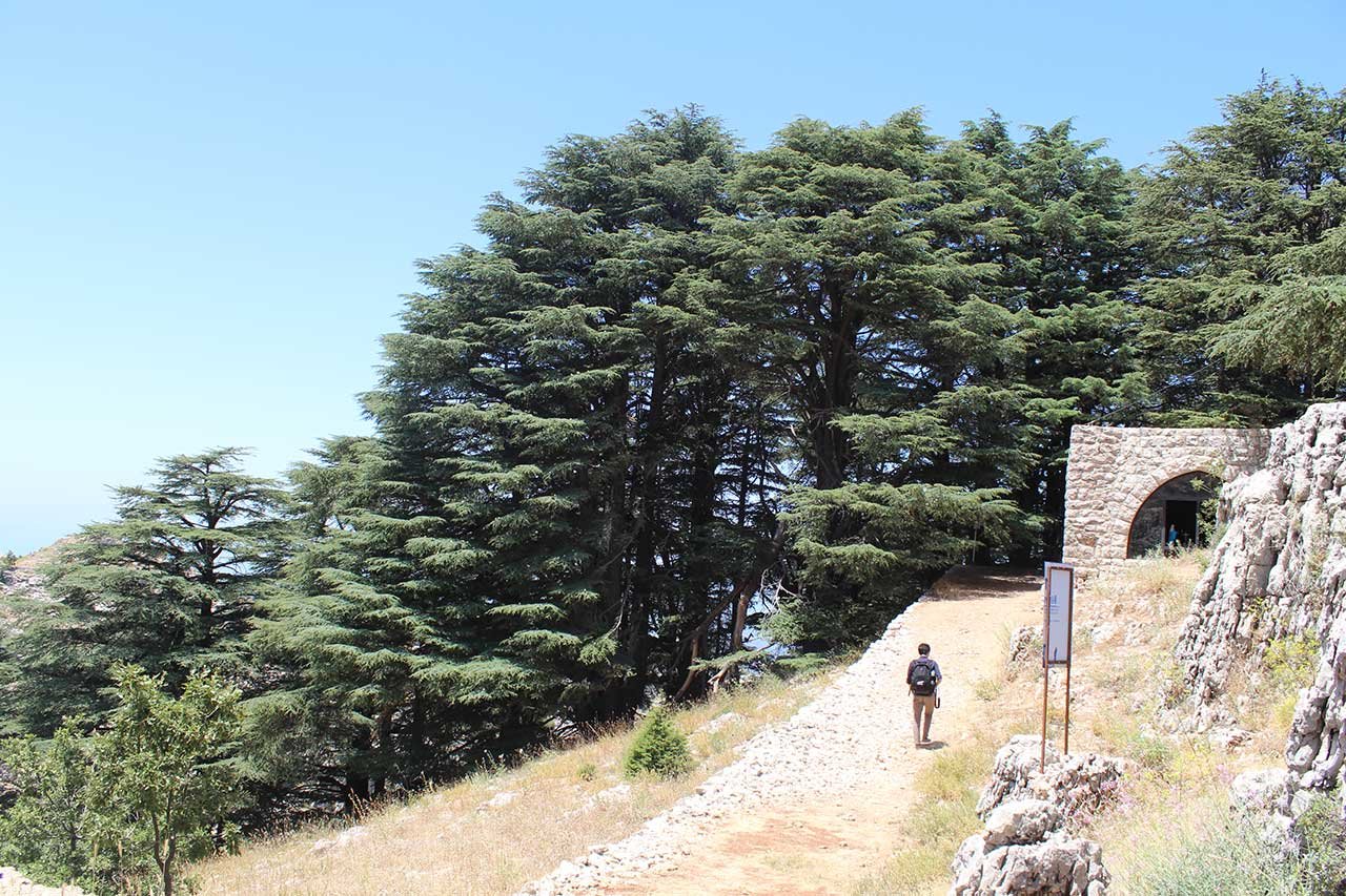 Cedars of Jaj - Mount Lebanon 1 - Sport - SOBEIRUT