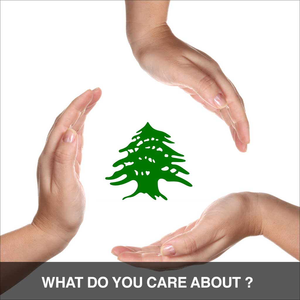 CHARITIES AND NGOS IN BEIRUT & LEBANON - SOBEIRUT